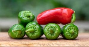 Do Jalapenos Go Bad and Need To Be Refrigerated? How To Tell - Fitibility