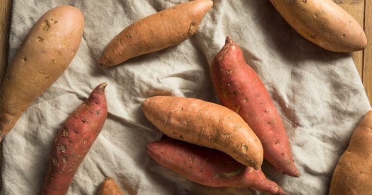 Do Sweet Potatoes Go Bad? How To Tell For Sure - Fitibility