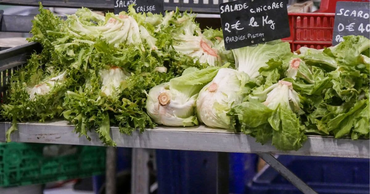 7 Best Escarole Alternatives That Are Tasty and Easy To Cook With ...