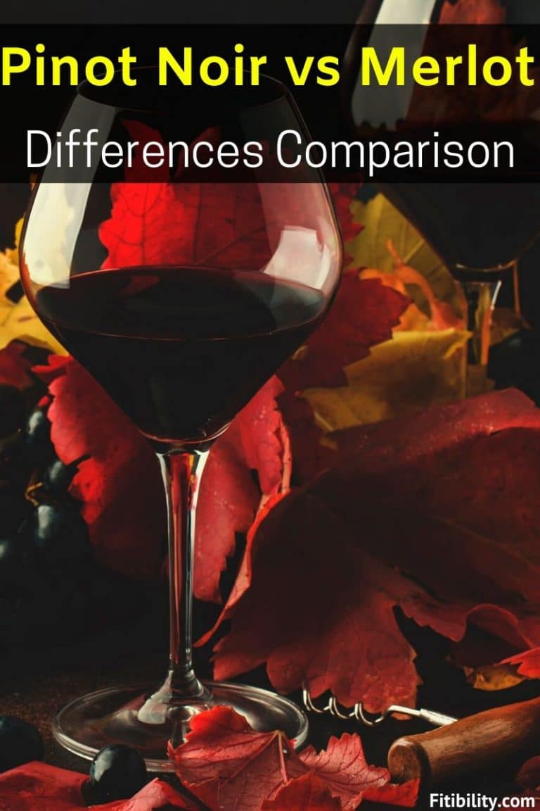 Main Differences Between Pinot Noir and Merlot You Should Know - Fitibility