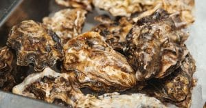 Can Oysters Be Frozen or Refrigerated? How to Thaw Correctly - Fitibility